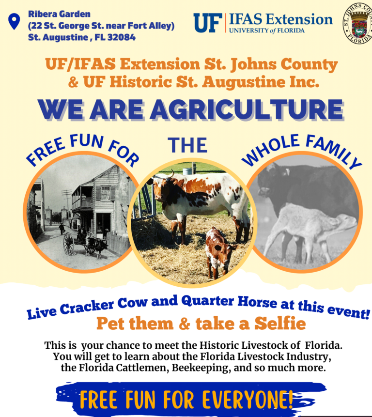 UF/Institute of Food and Agriculture Sciences, Extension - St ...